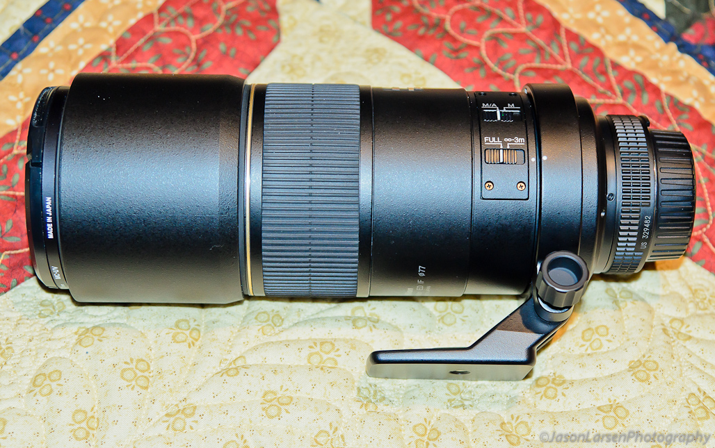 Nikon 300mm f/4 Review – JASON LARSEN PHOTOGRAPHY